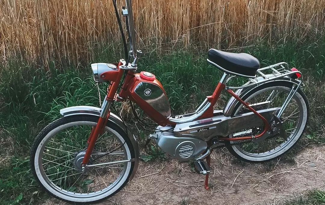 Rixe-Sachs-Töfflis | mofakult