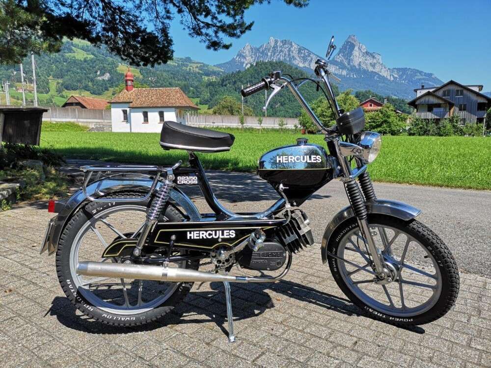 Hercules Sachs 503 | mofakult