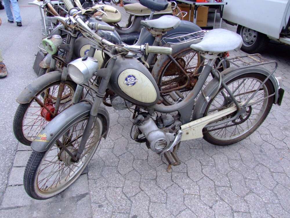 Hercules Sachs 503 | mofakult
