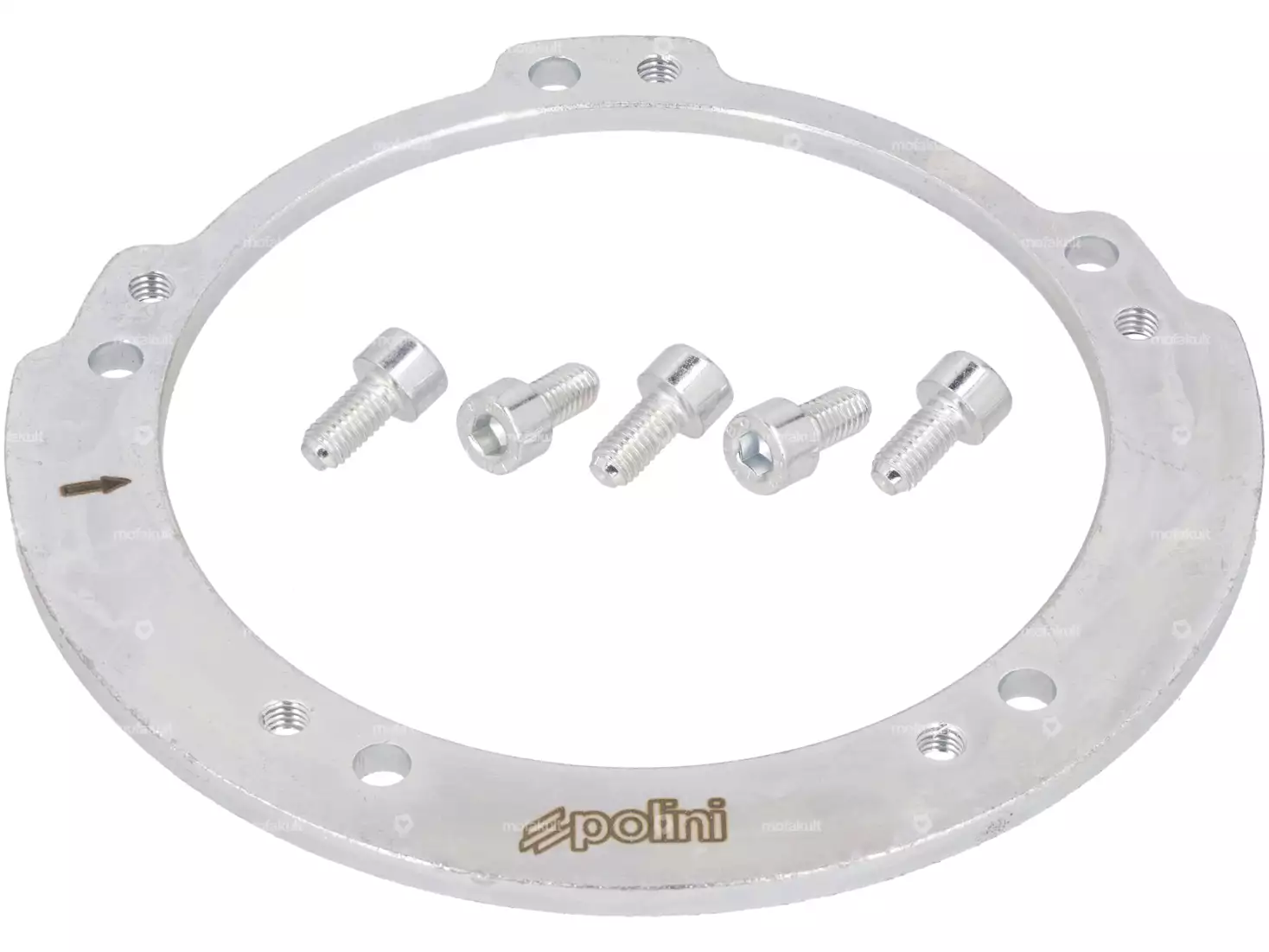 Polini Zusatzgewicht 110 g EVO Zündung & Drehschieber-Welle | Piaggio ...