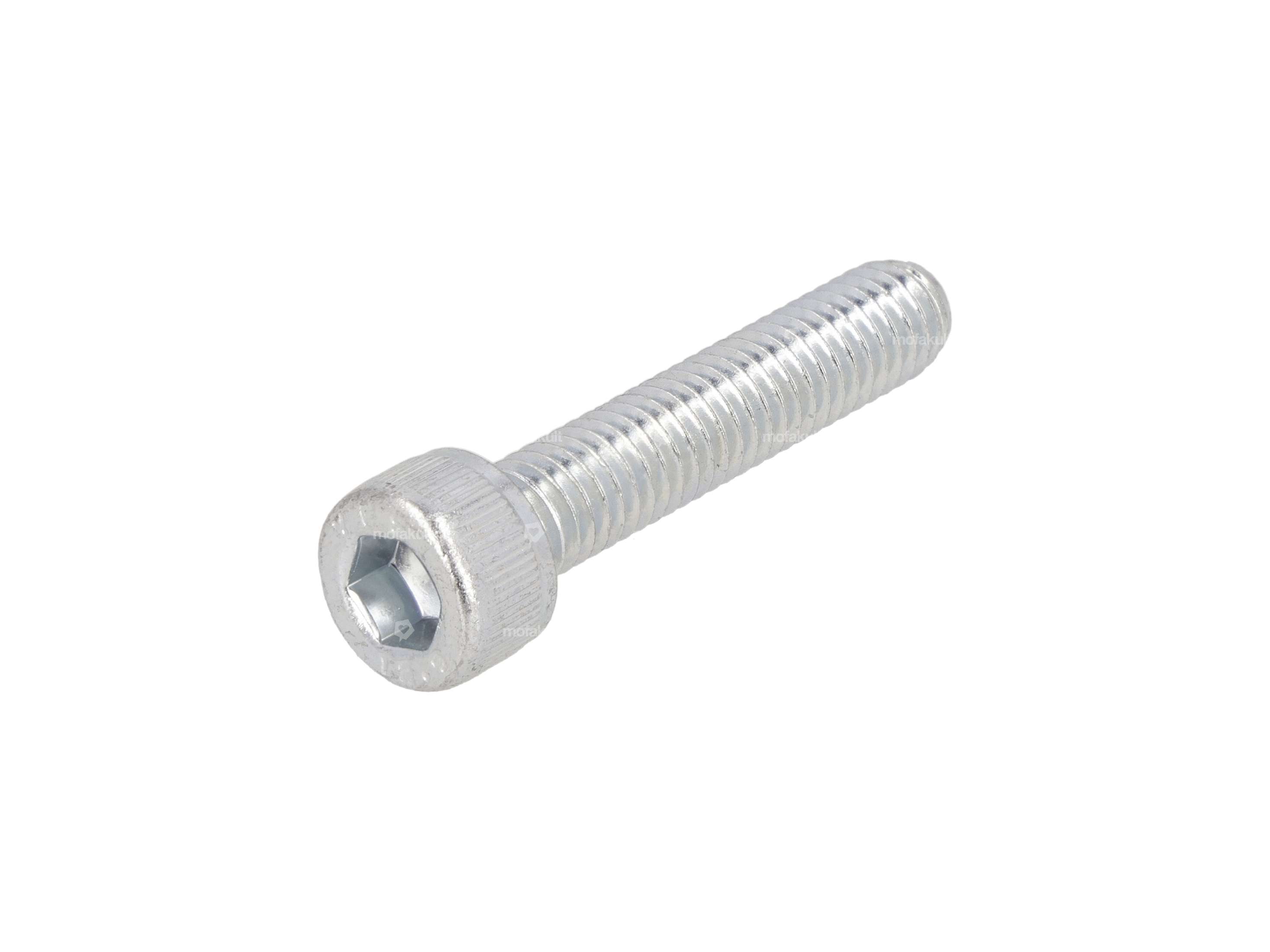 M6x30 hexagon socket head screw, galvanized (12.9 strength) | mofakult