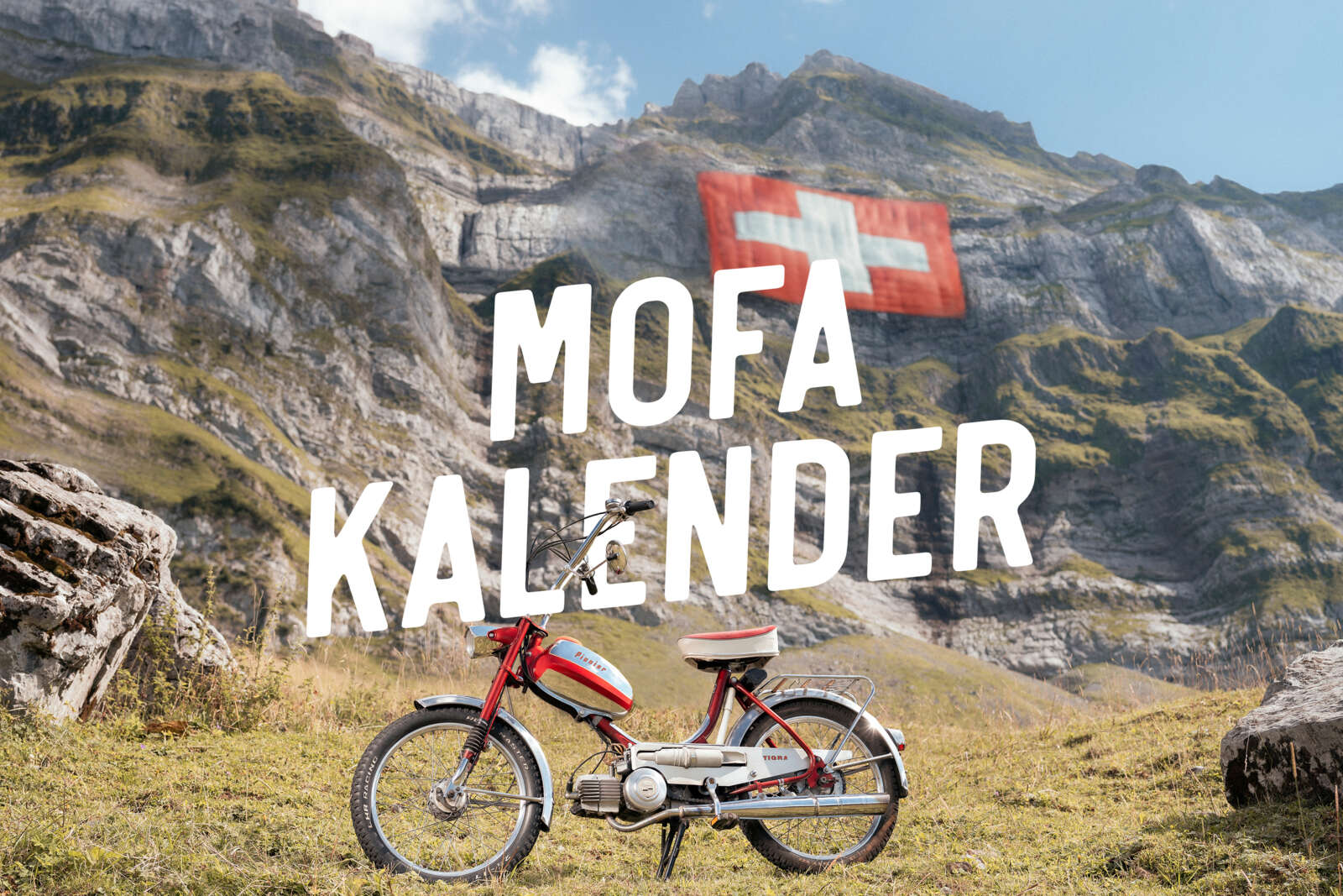 Siggnature Bikes | mofakult